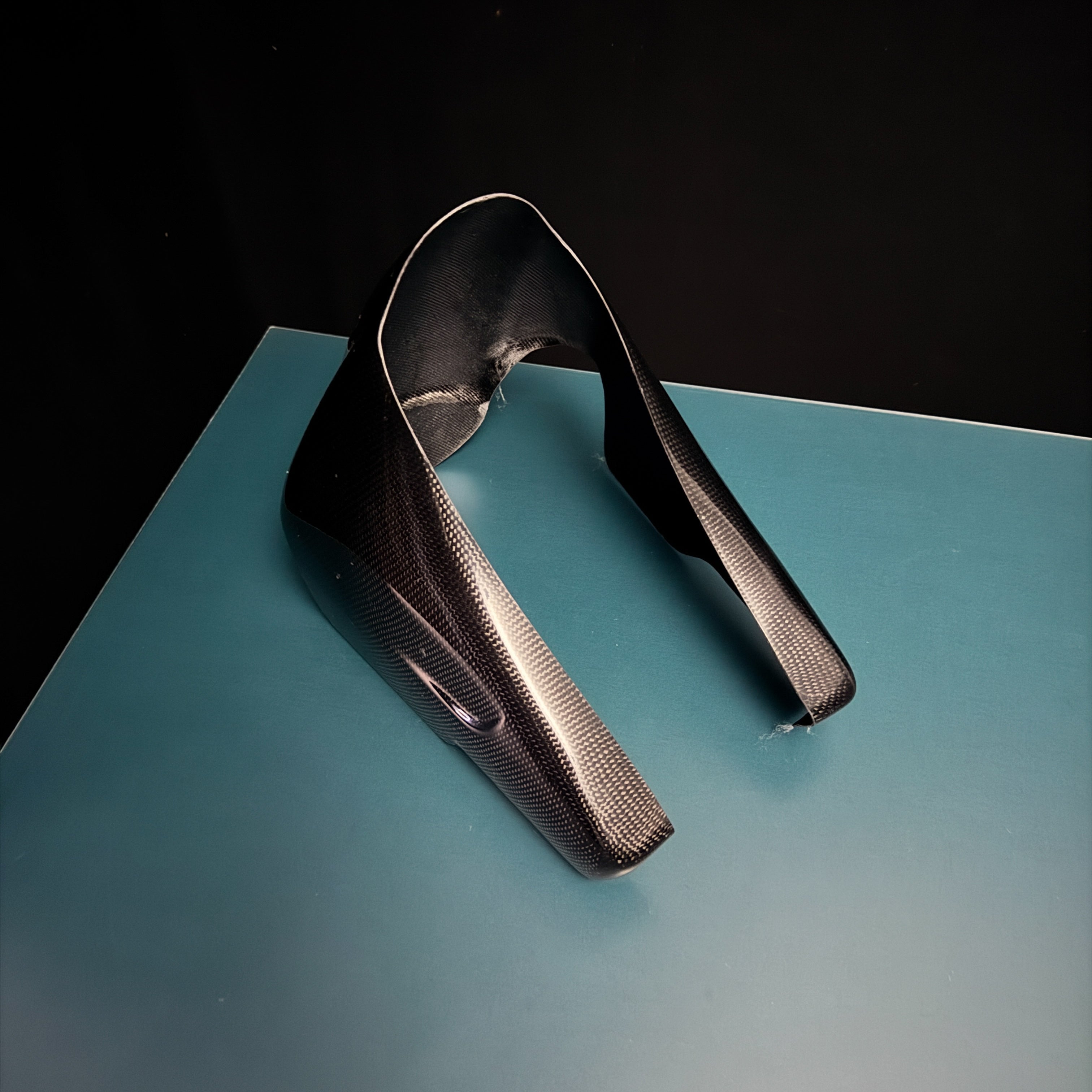 #m2s CARBON Front Fender (Triumph) – EISENBEISSER Racing