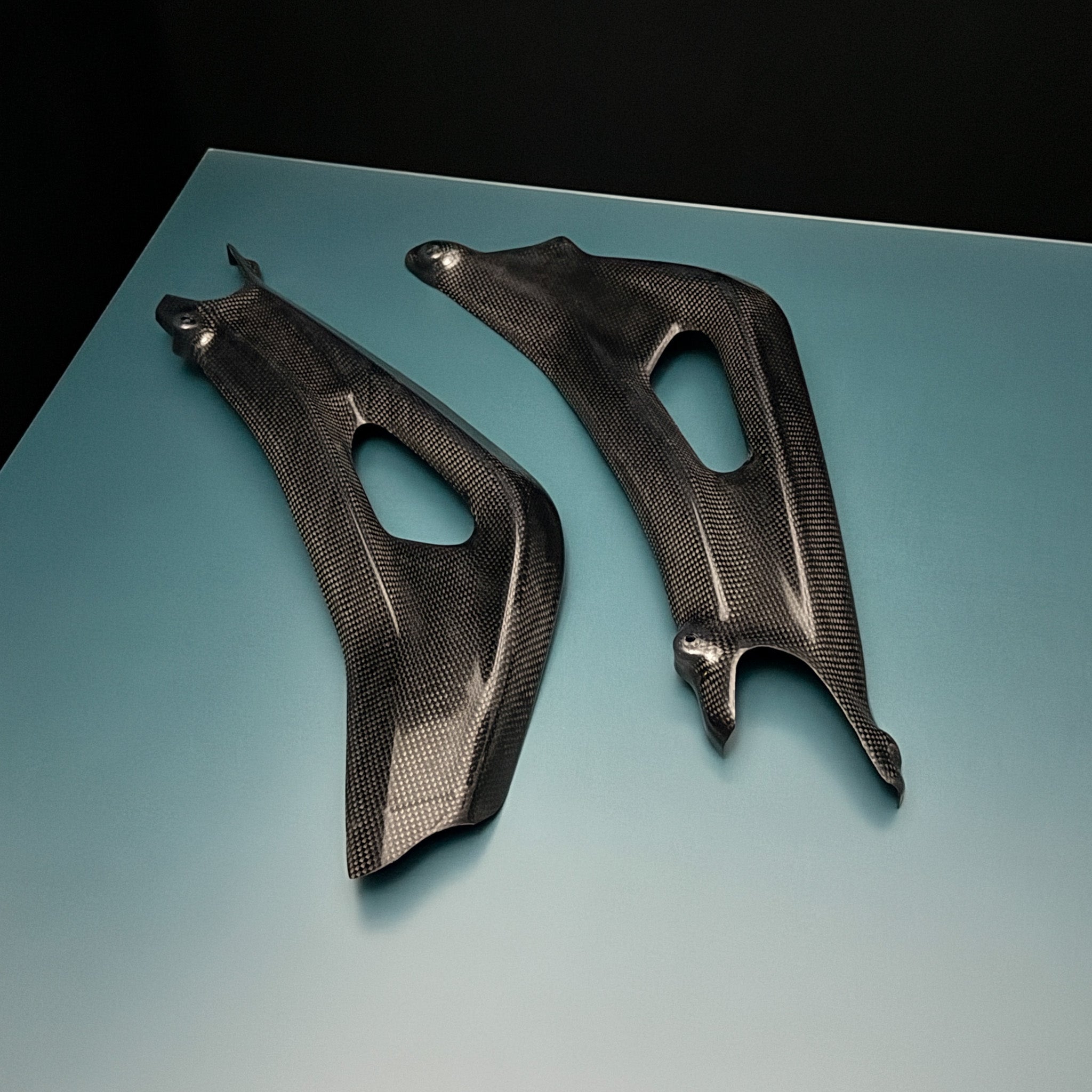 Carbon-Schützer - Schwinge – EISENBEISSER Racing